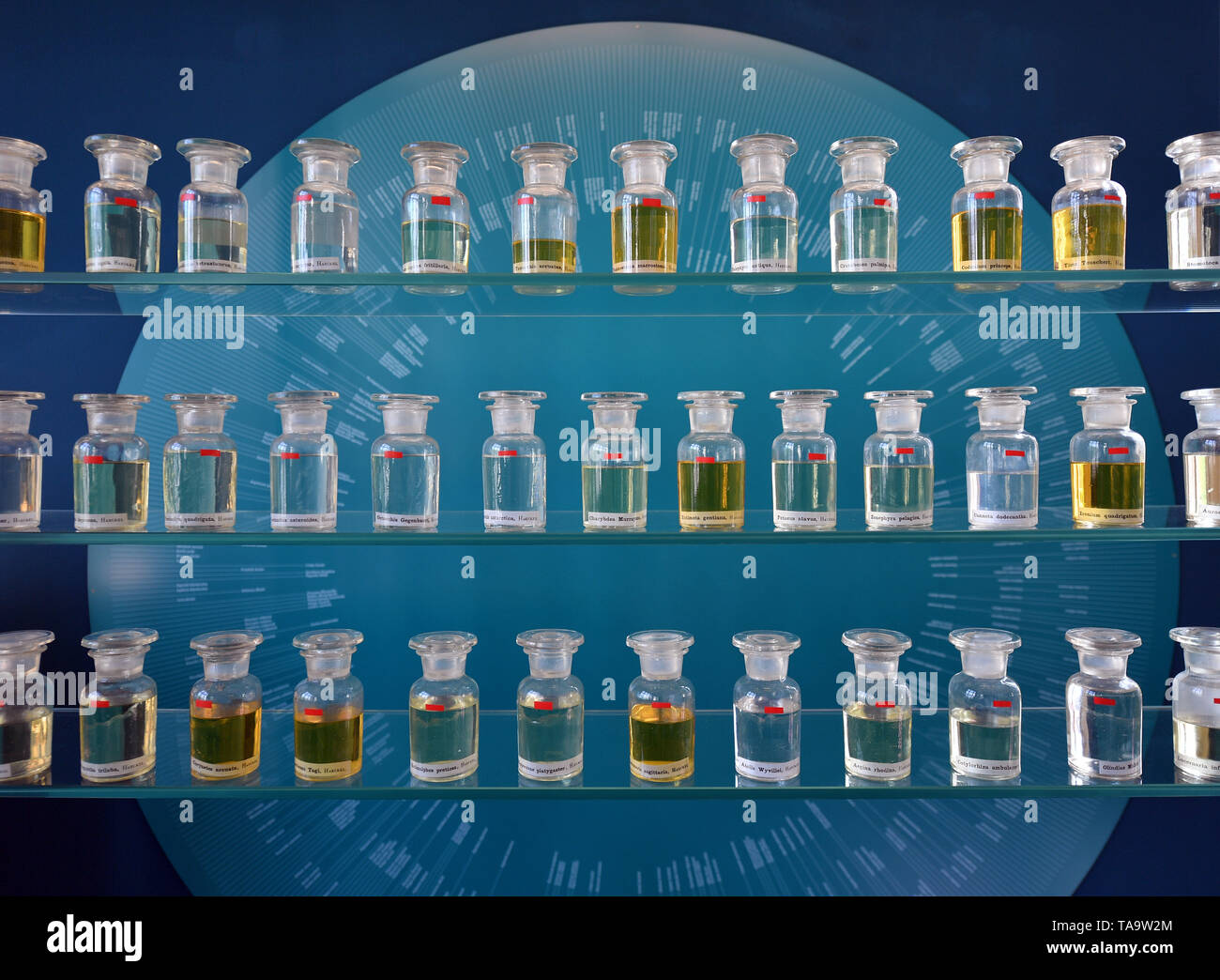 23 May 2019, Thuringia, Jena: Glass vessels without preparations, which ...