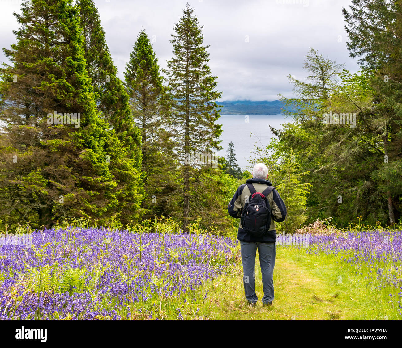Sleat Peninsula, Isle of Skye, Scottish Highlands, Scotland, United ...