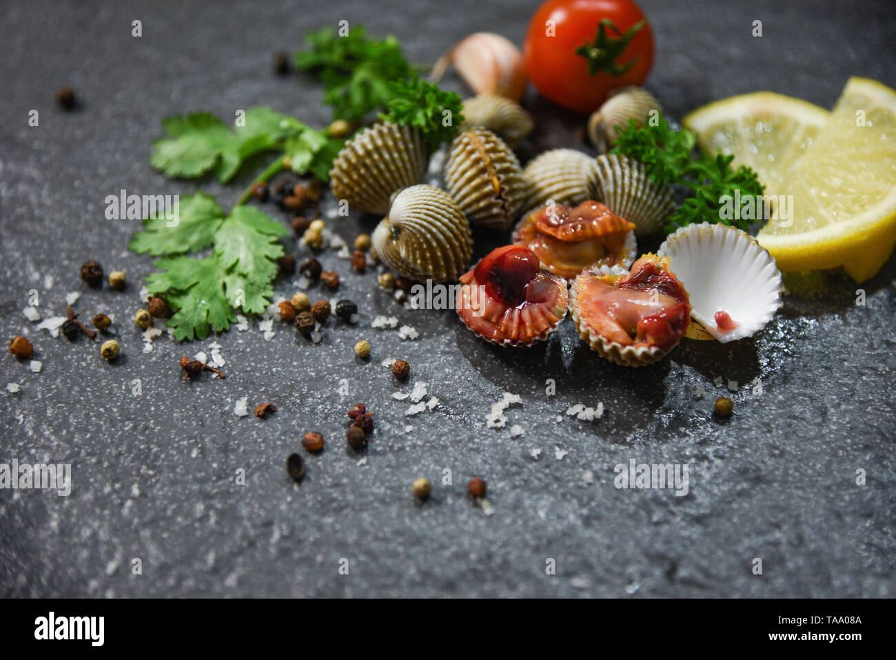 Shellfish Seafood Cockles fresh raw ocean gourmet dinner with herbs and ...
