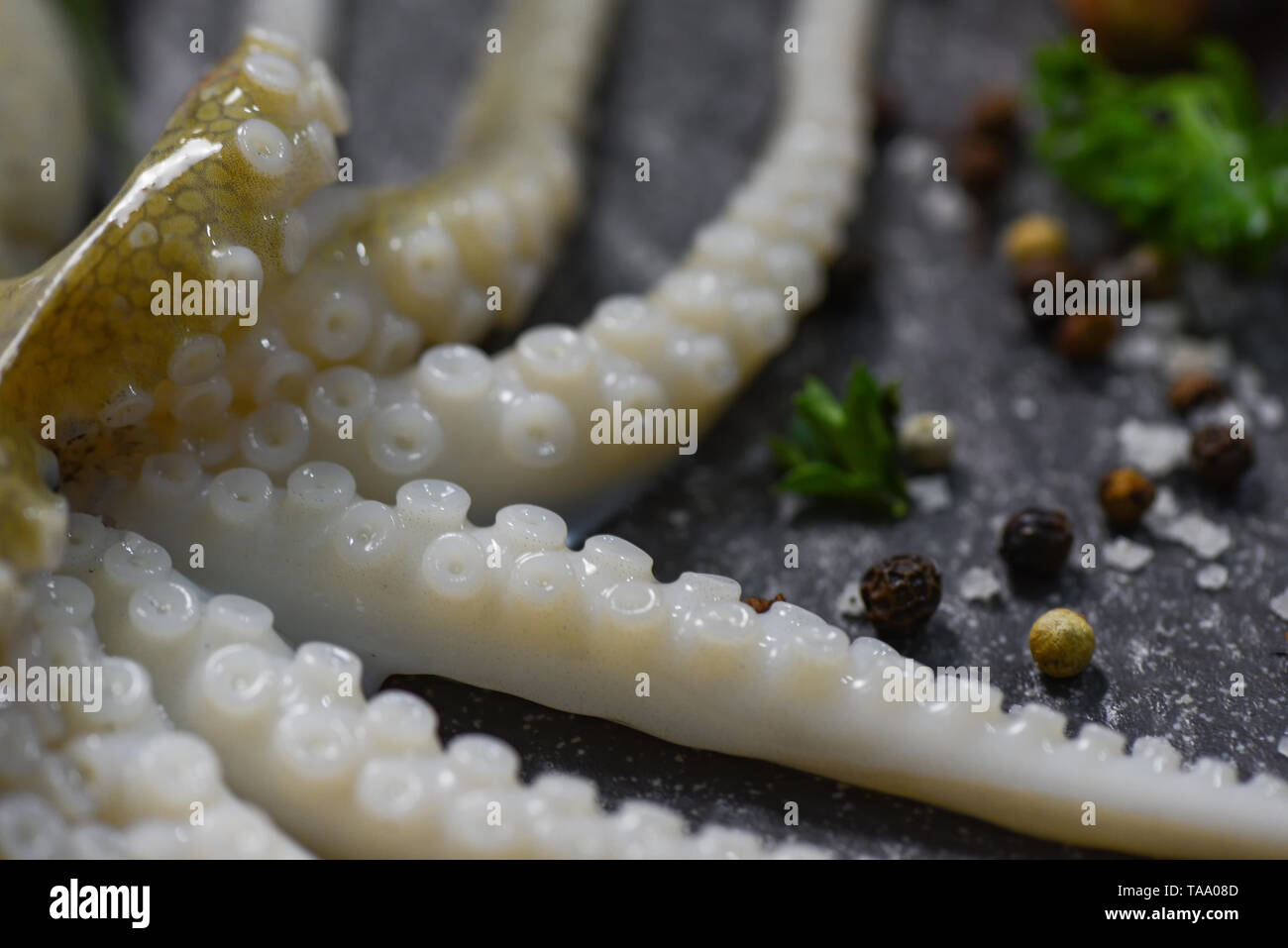 Seafood fresh squid raw ocean gourmet dinner with herbs and spices on ...