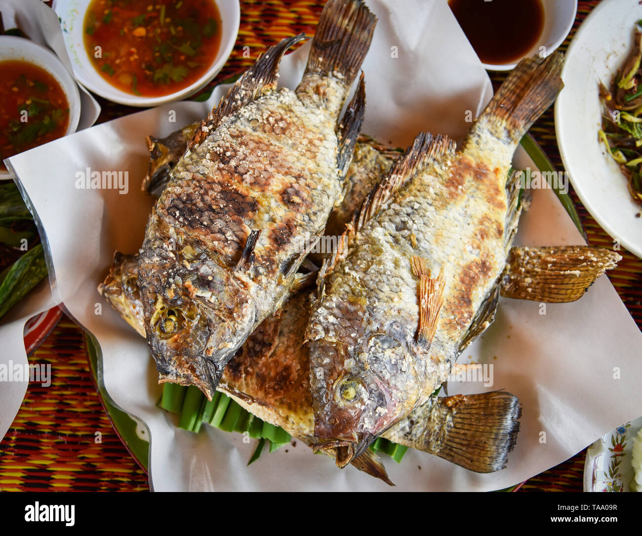 Grilled tilapia fish on herb with salt and chilli sauce on plate in ...