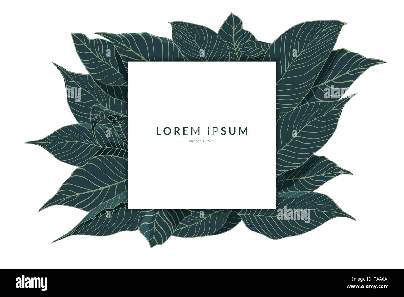 Creative layout foliage on Stock Vector Images - Alamy