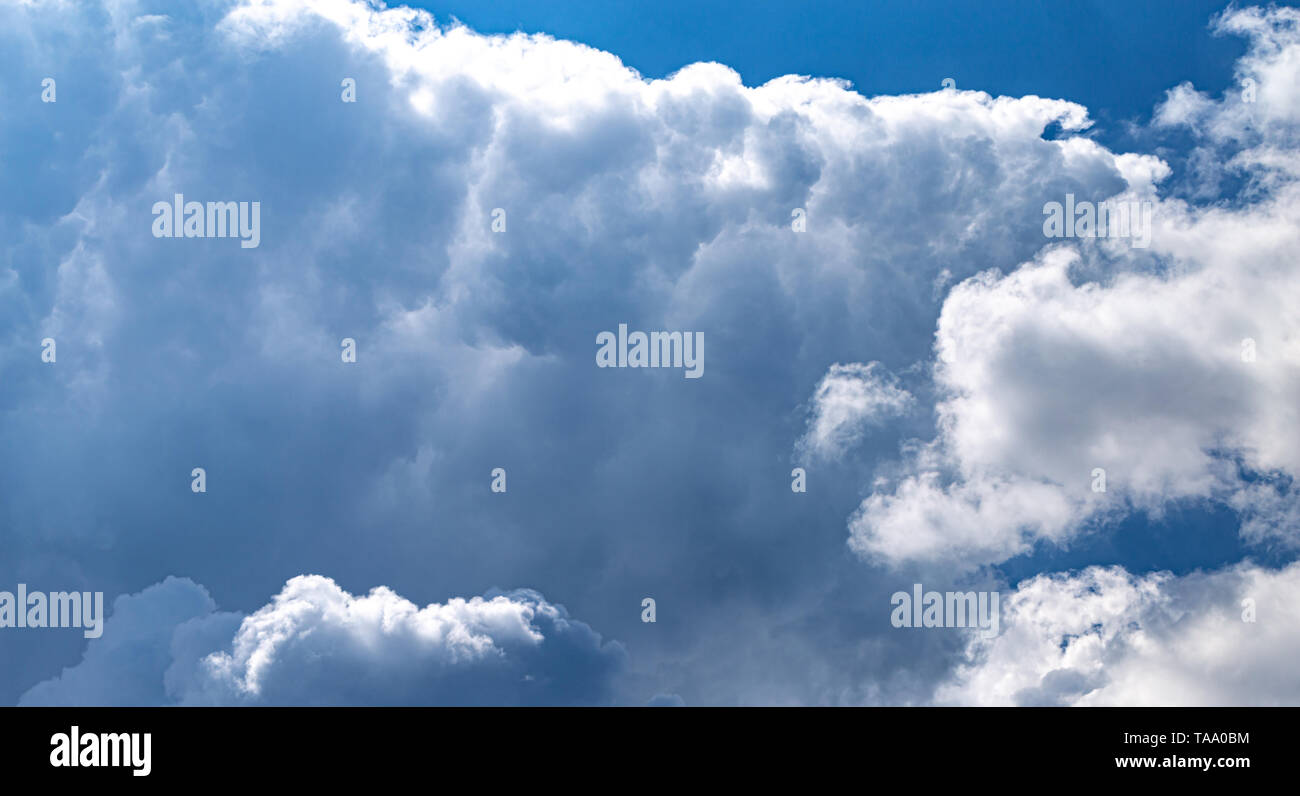 Massive cumulus cloud formation at the bright blue sky, soft fluffy ...