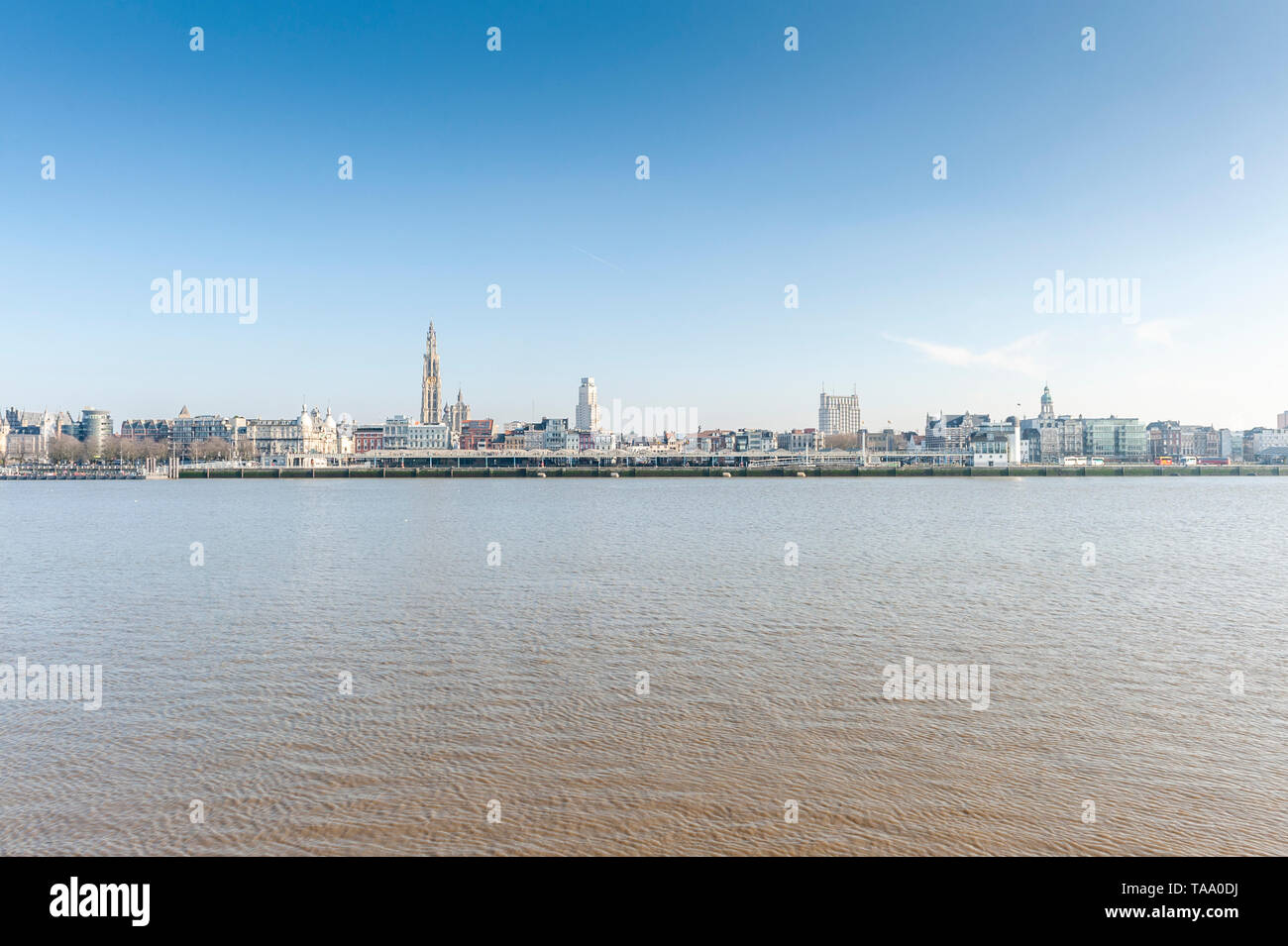 Antwerp skyline from the river scheldt hi-res stock photography and ...