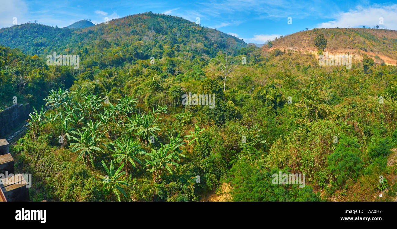 Burma forest hi-res stock photography and images - Alamy