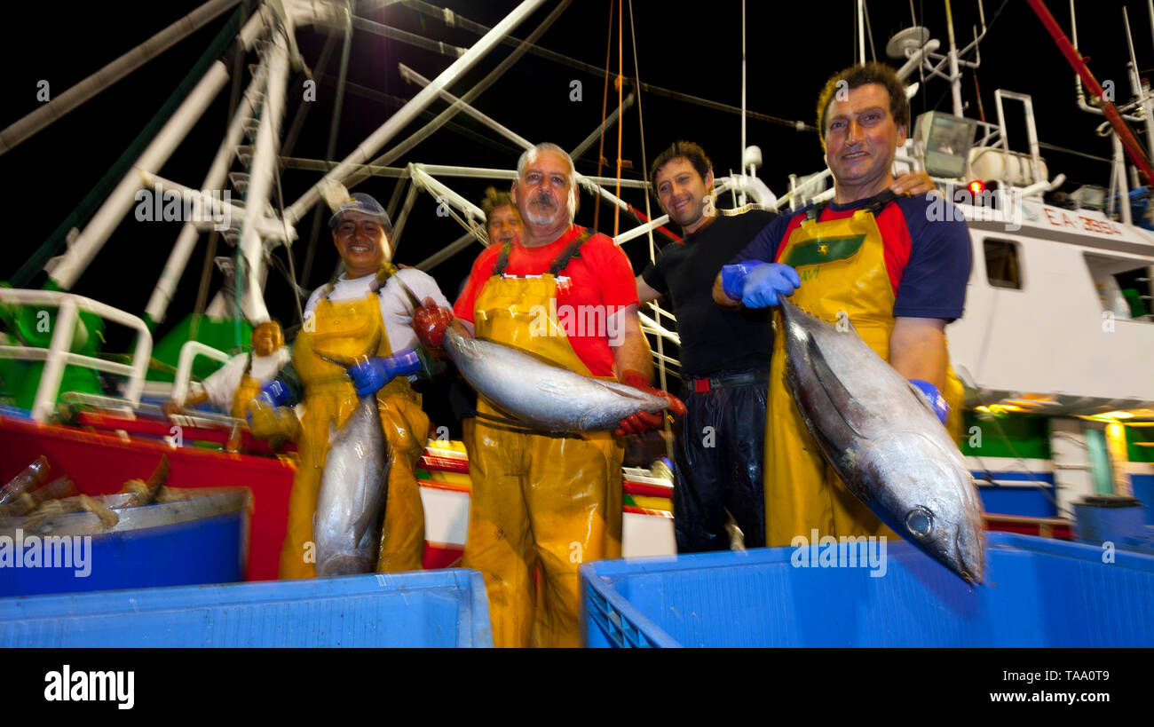 Albacore bonito del norte hi-res stock photography and images - Alamy