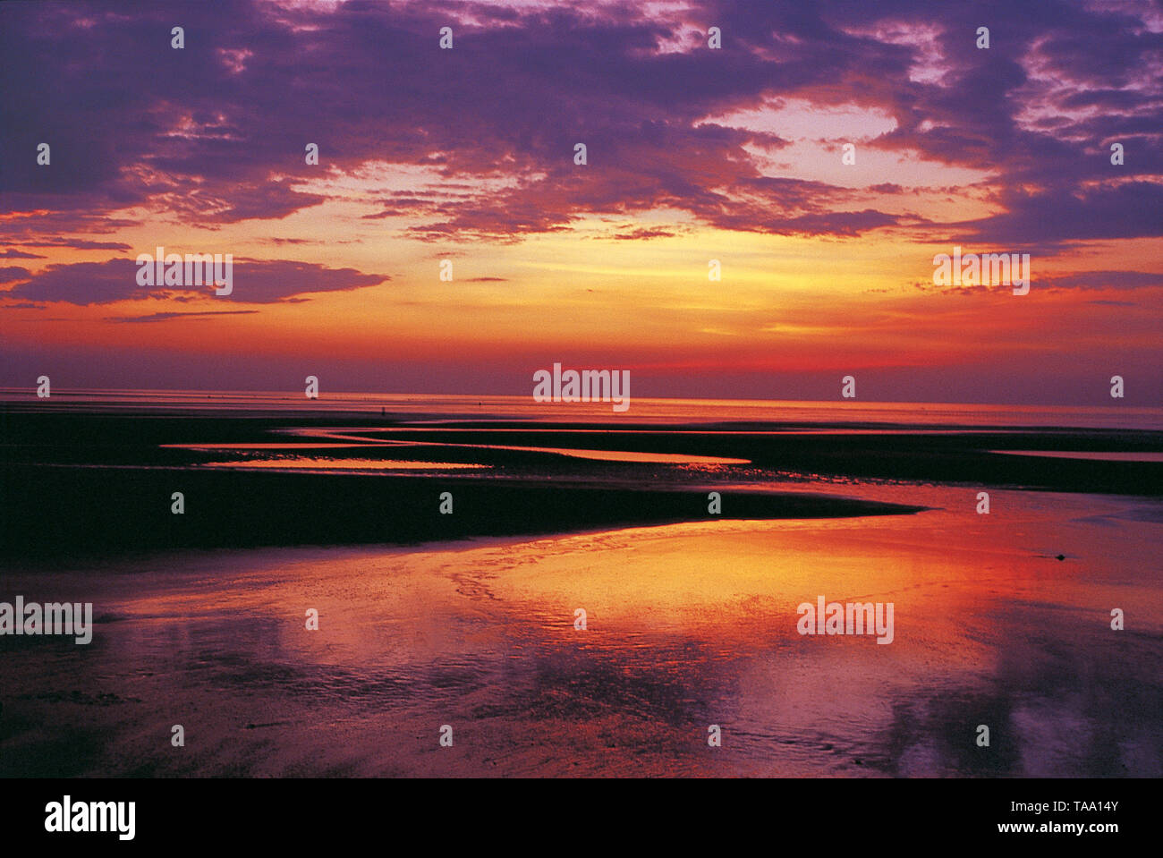 Sunset on Tithal beach, Gujarat, India, Asia Stock Photo - Alamy