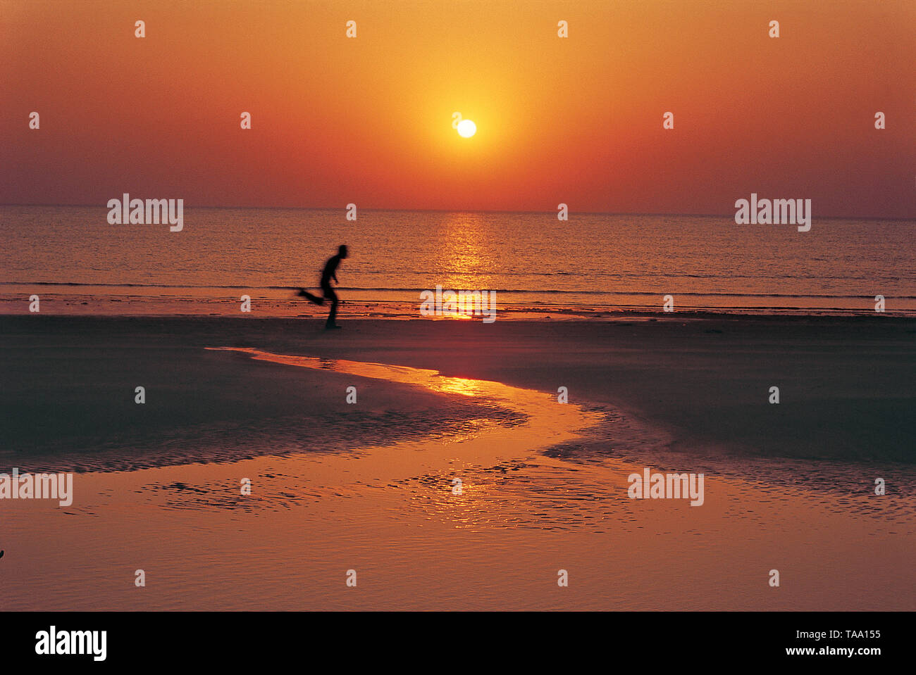Sunset on Tithal beach, Gujarat, India, Asia Stock Photo - Alamy