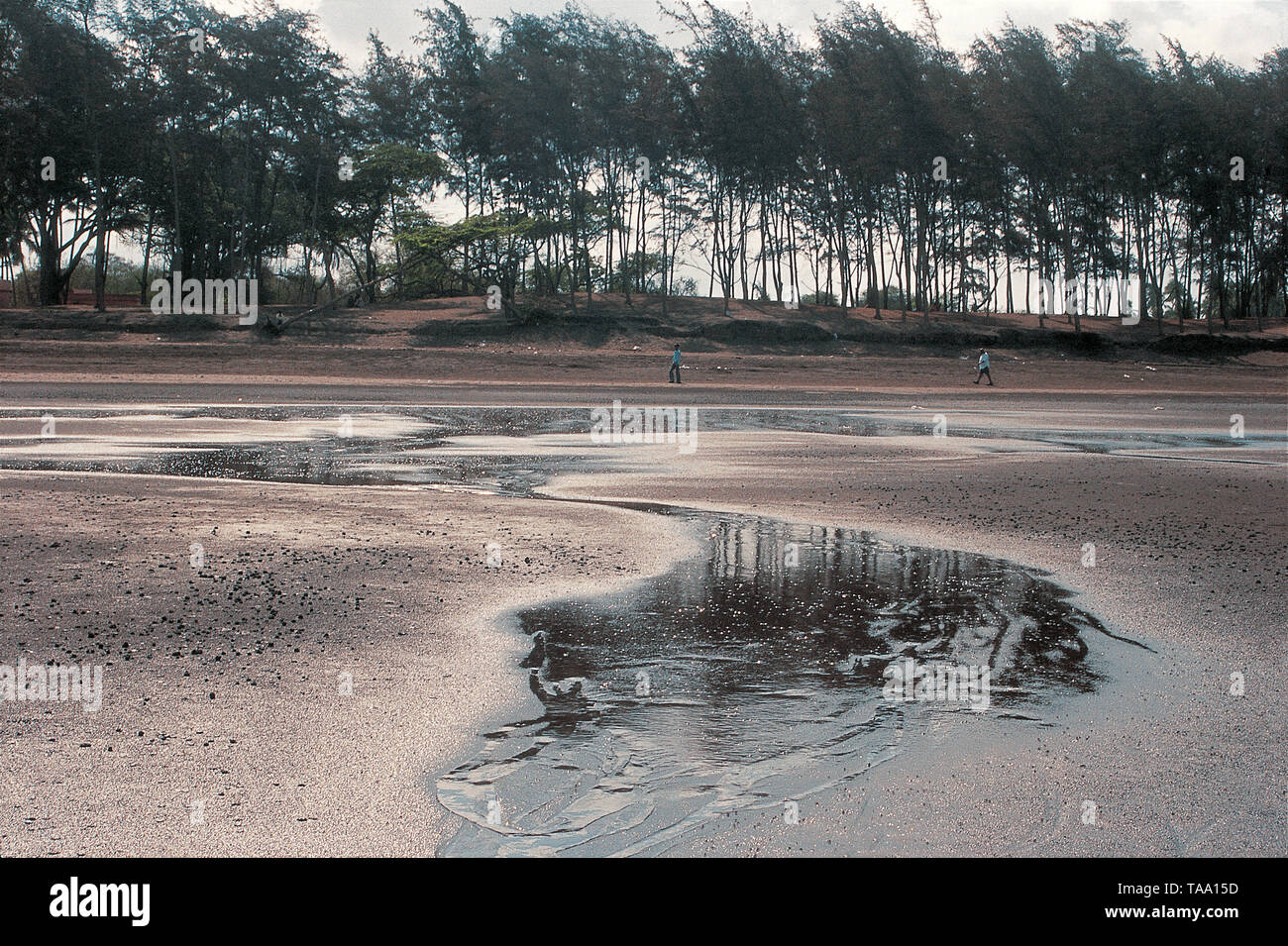 Tithal beach, Gujarat, India, Asia Stock Photo - Alamy