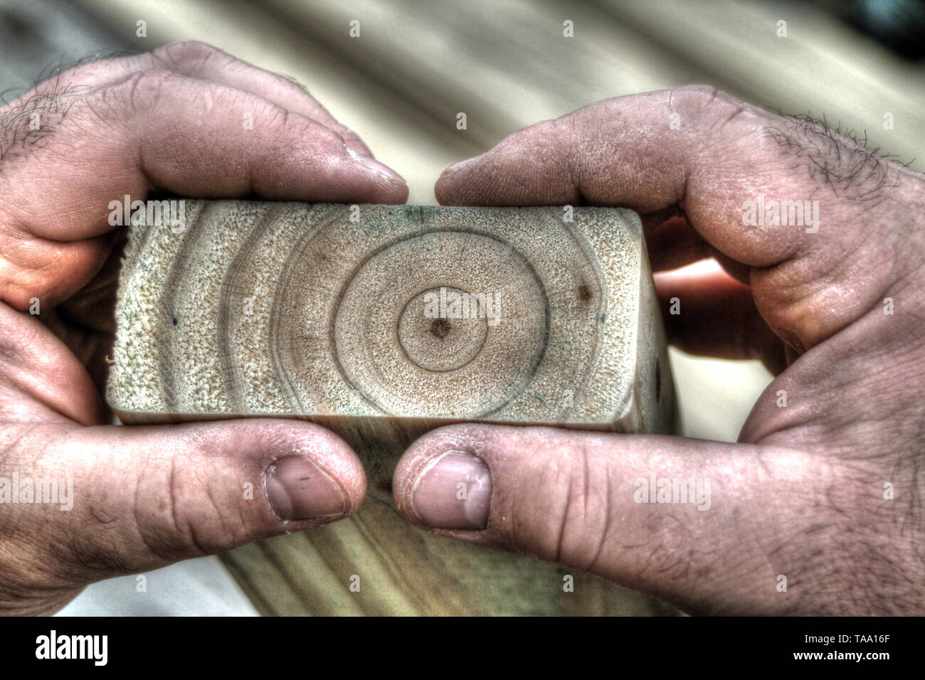 Green fingerprint tree hi-res stock photography and images - Alamy