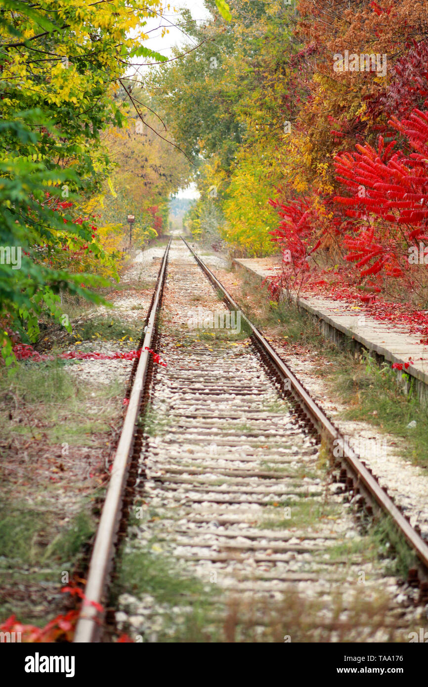 Fall leaves on railroad tracks hi-res stock photography and images - Alamy
