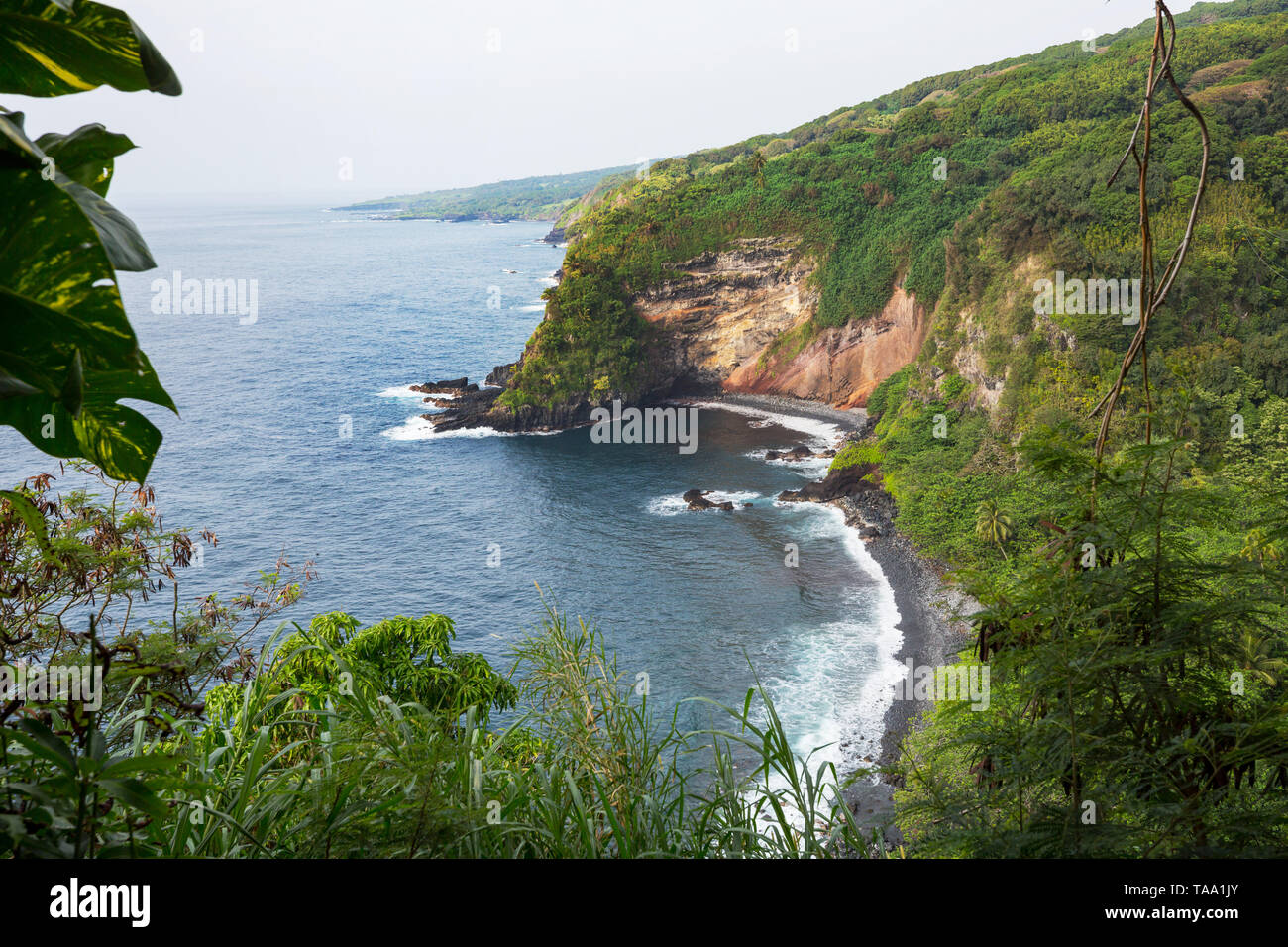 Beautiful tropical landscapes on Maui island, Hawaii Stock Photo - Alamy