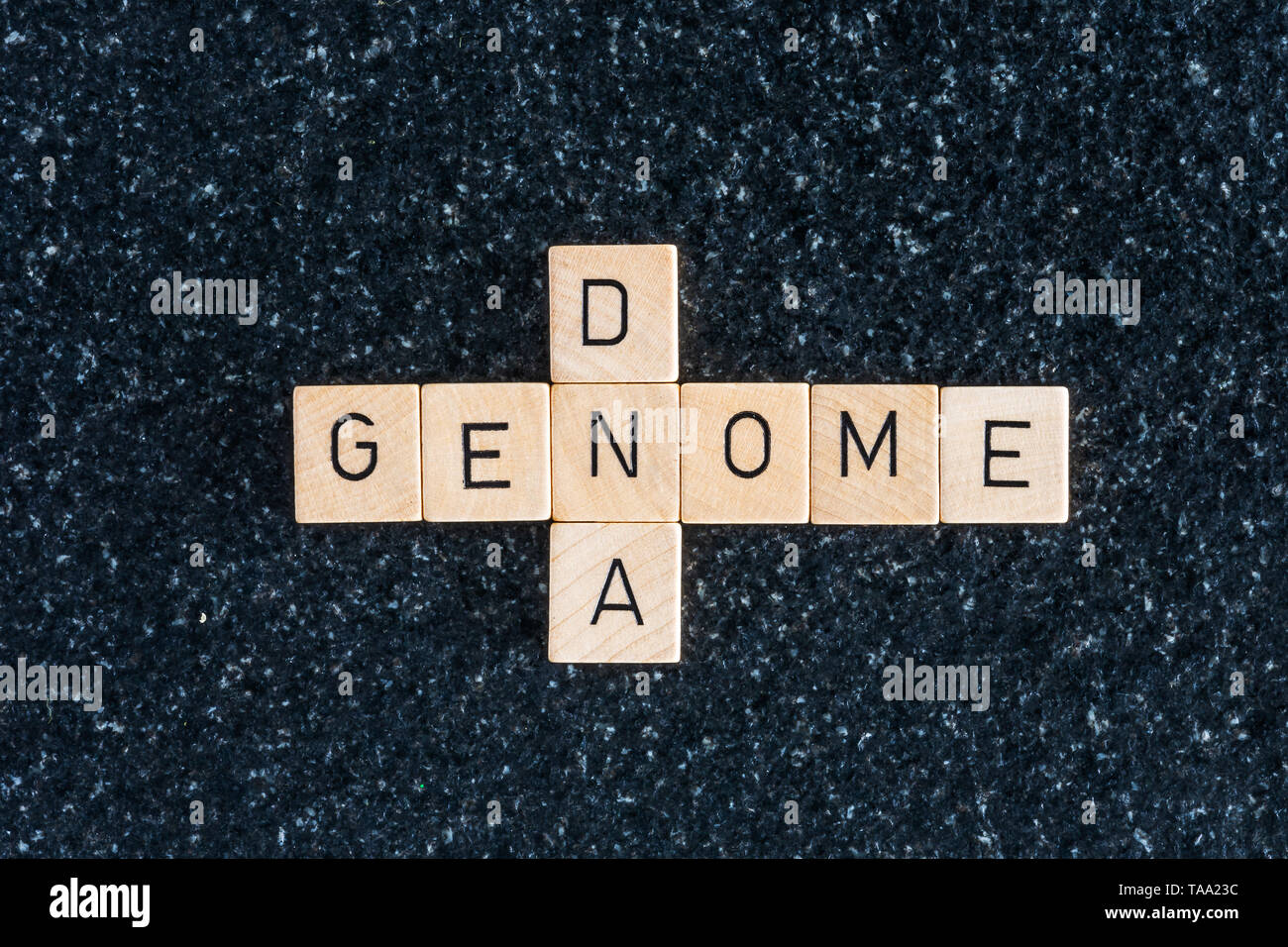 Human genome dna hi-res stock photography and images - Alamy
