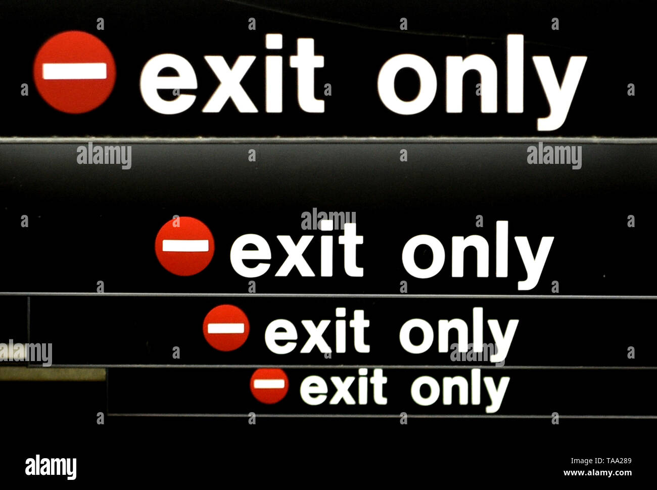 sign "stop" and inscription "exit only Stock Photo - Alamy