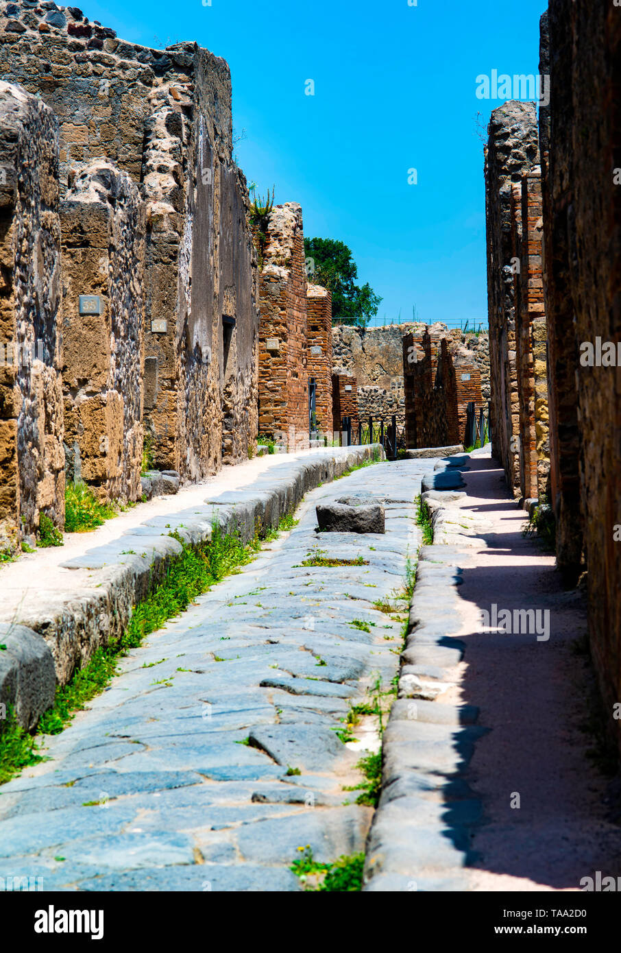 Pompeii Excavations: Paving stones with the blocks stone Stock Photo ...