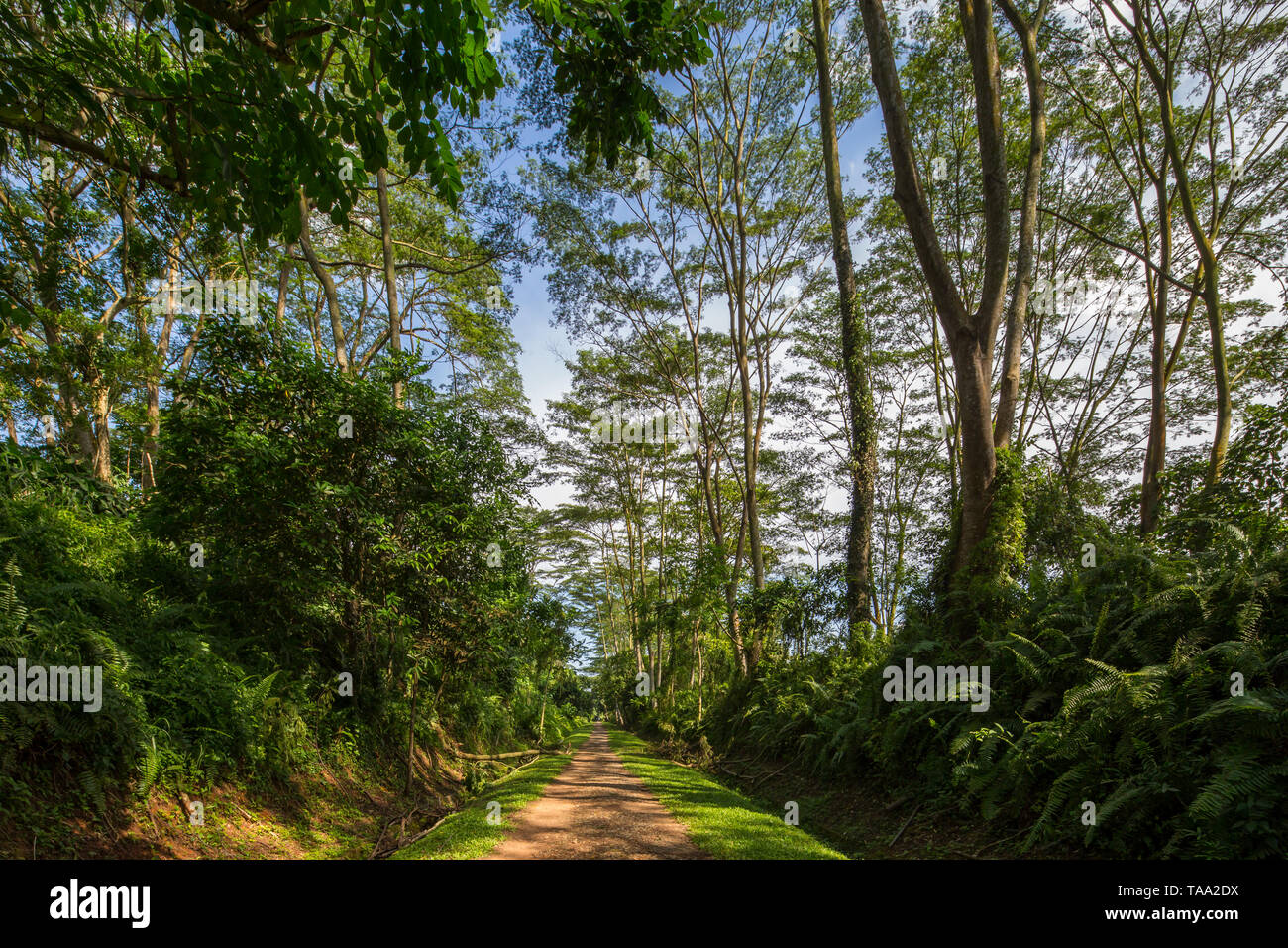 Singapore rail corridor hi-res stock photography and images - Alamy