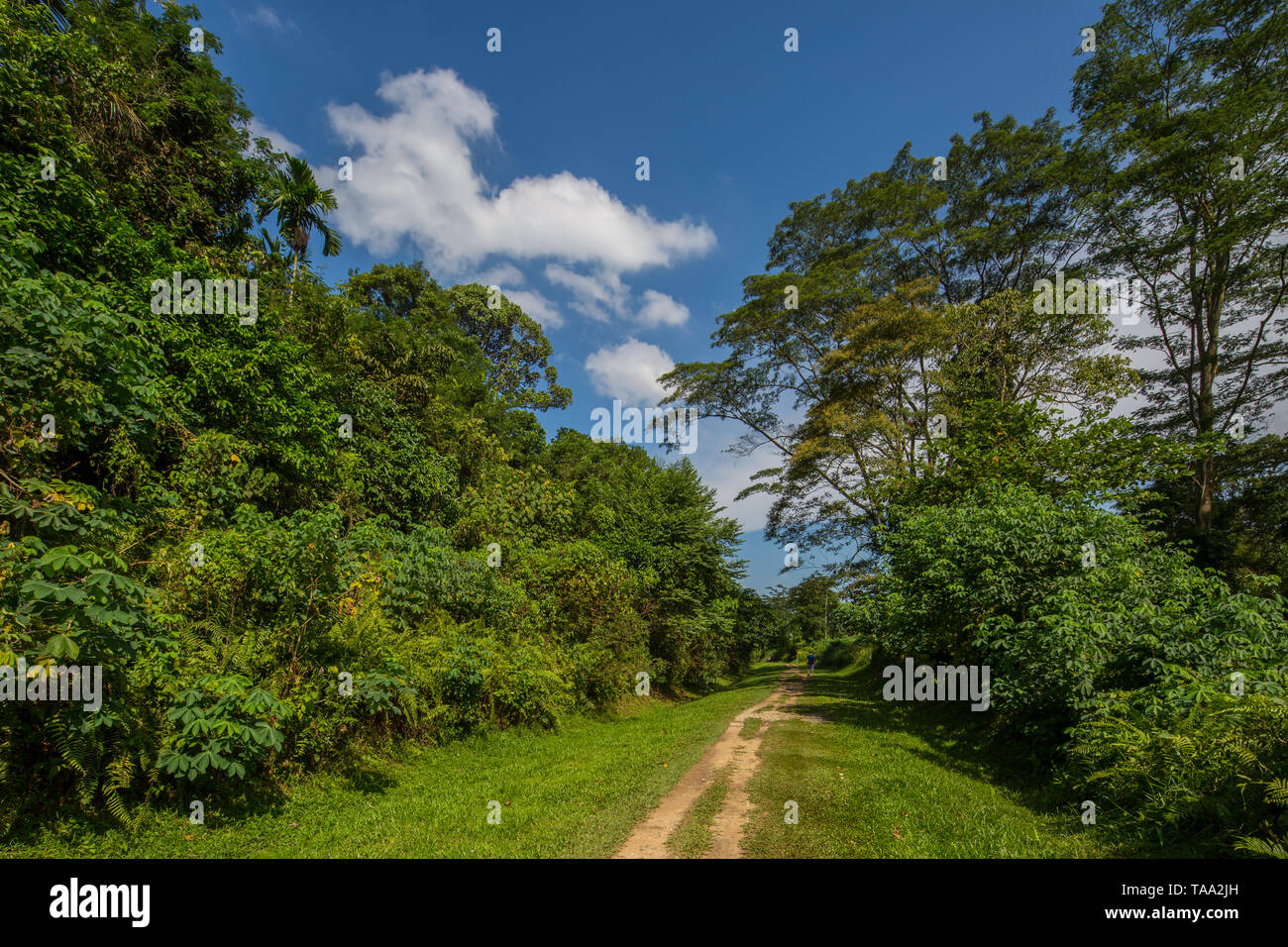 Environment greenery nature peaceful hi-res stock photography and ...