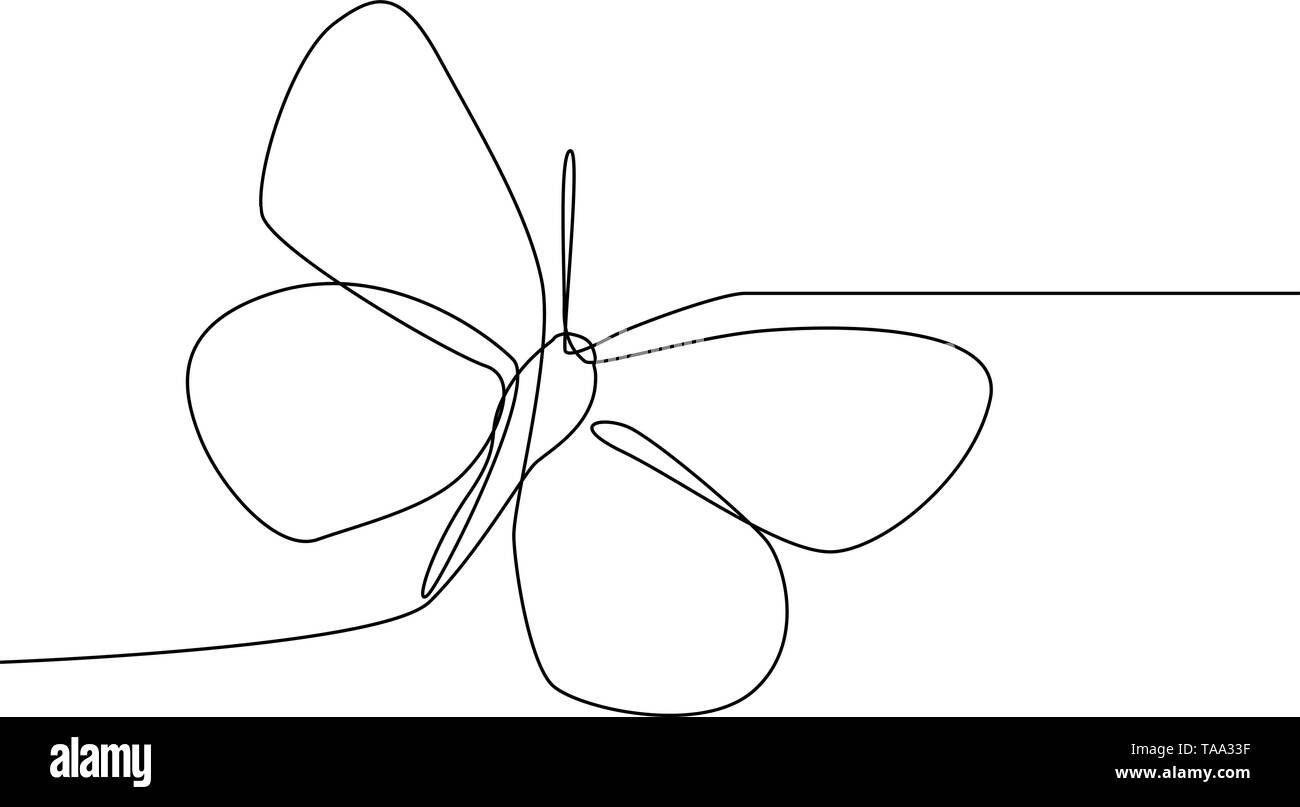 Continuous line butterfly isolated on white background. Butterfly ...