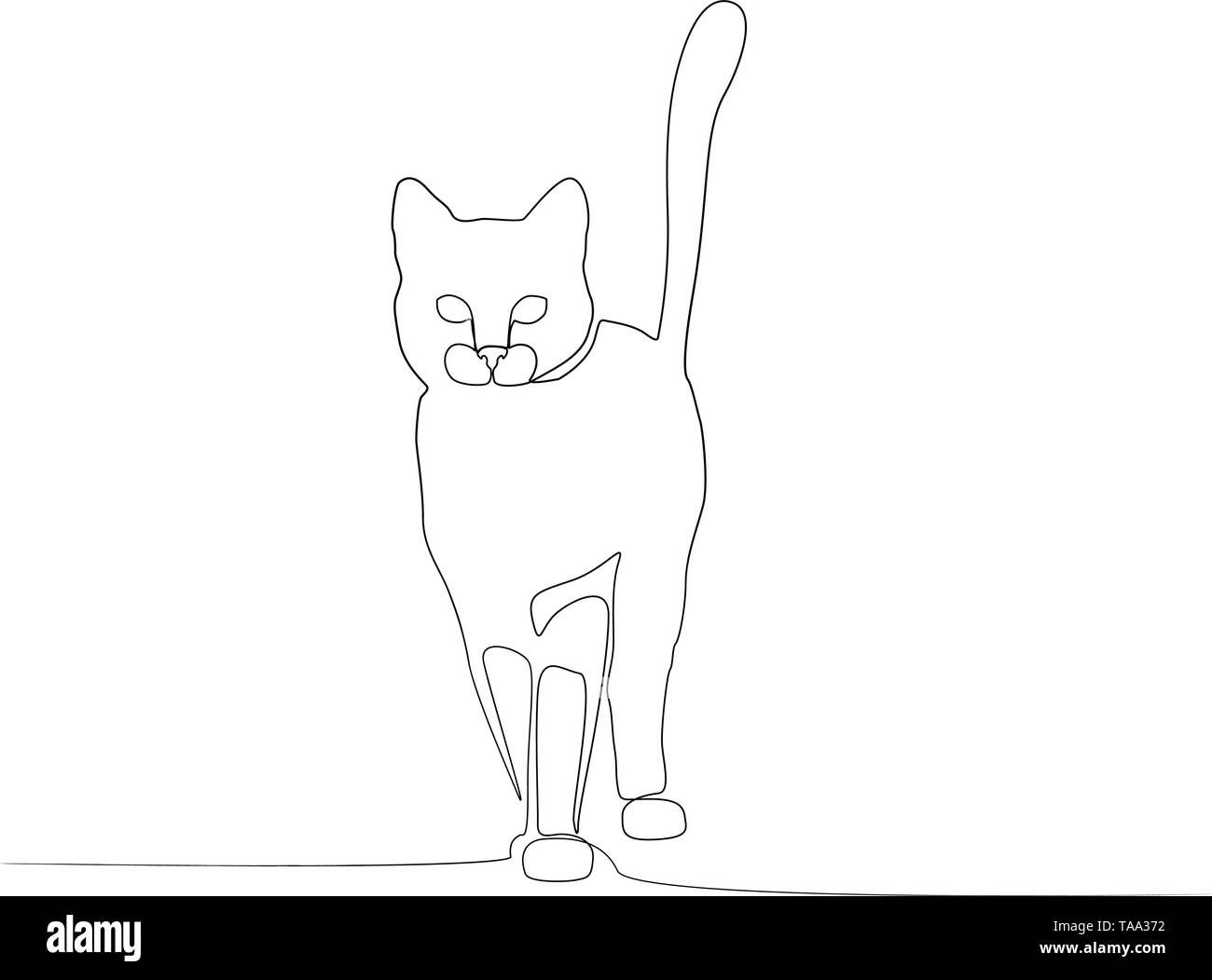 Continuous one line front view cat. Vector Stock Vector Image & Art - Alamy