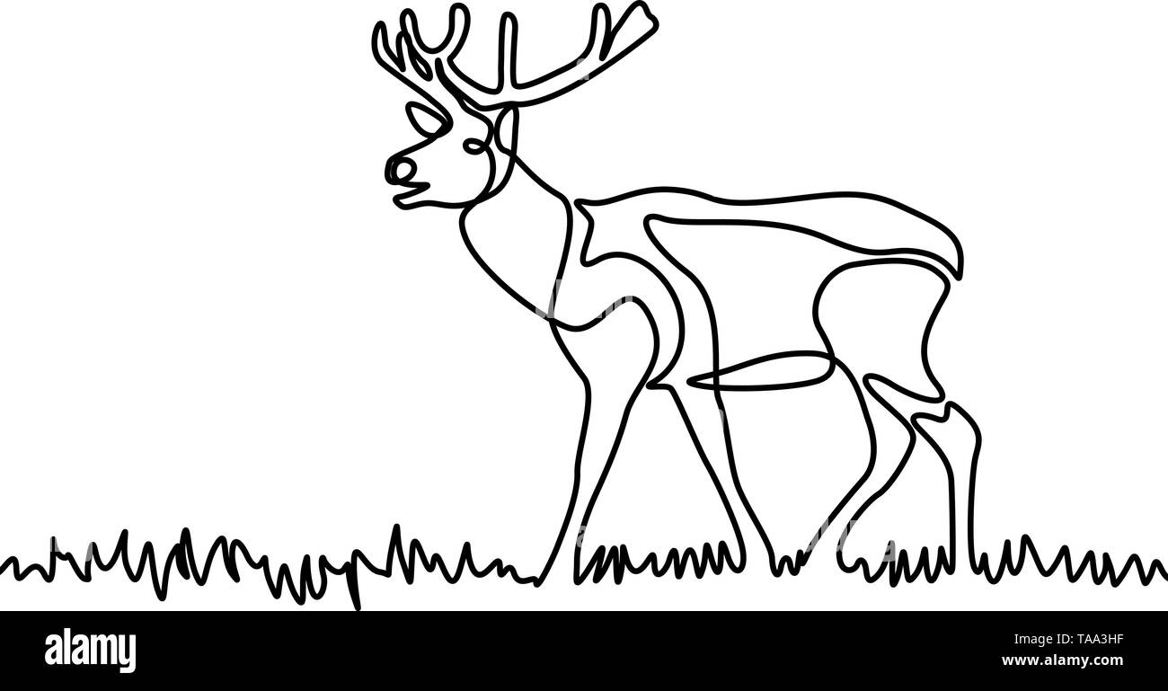 Elk Outline Black and White Stock Photos & Images - Alamy