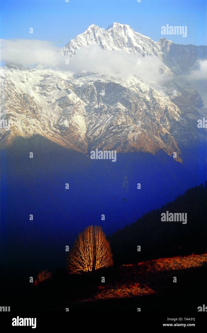 Chaukhamba as seen from Madmaheshwar, Uttarakhand, India, Asia Stock ...