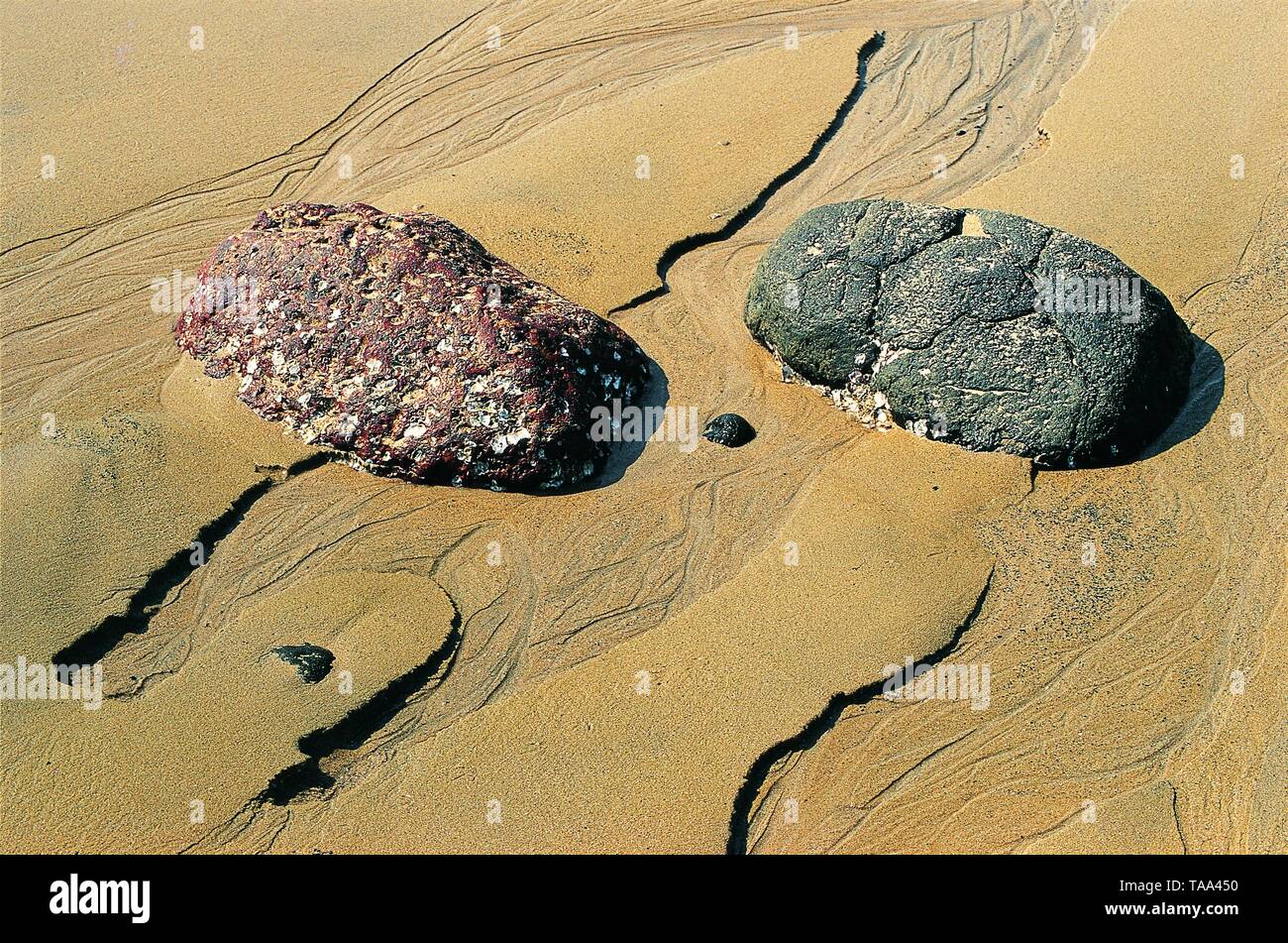 Kashid, maharashtra hi-res stock photography and images - Alamy