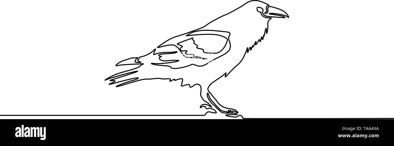 Continuous line Raven isolated on white background. Vector illustration ...
