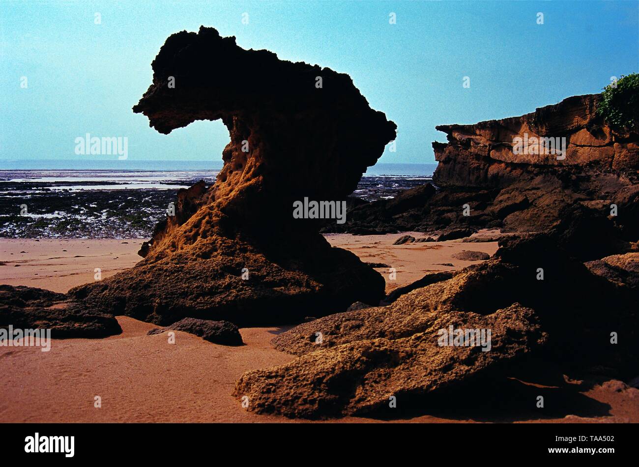 Wave like Sea Stack Sculpture by sea Waves, Saurashtra, Gujarat, India ...