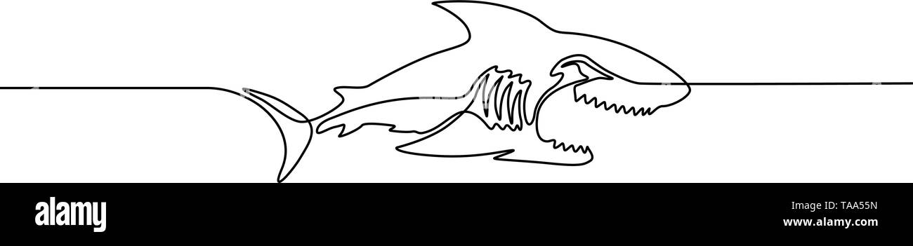 Continuous one line vector shark isolated on white background Stock ...