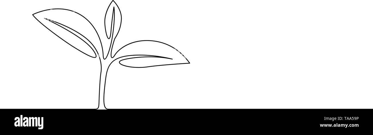 Continuous one line growing sprout, Plant leaves. Ecology concept Stock ...