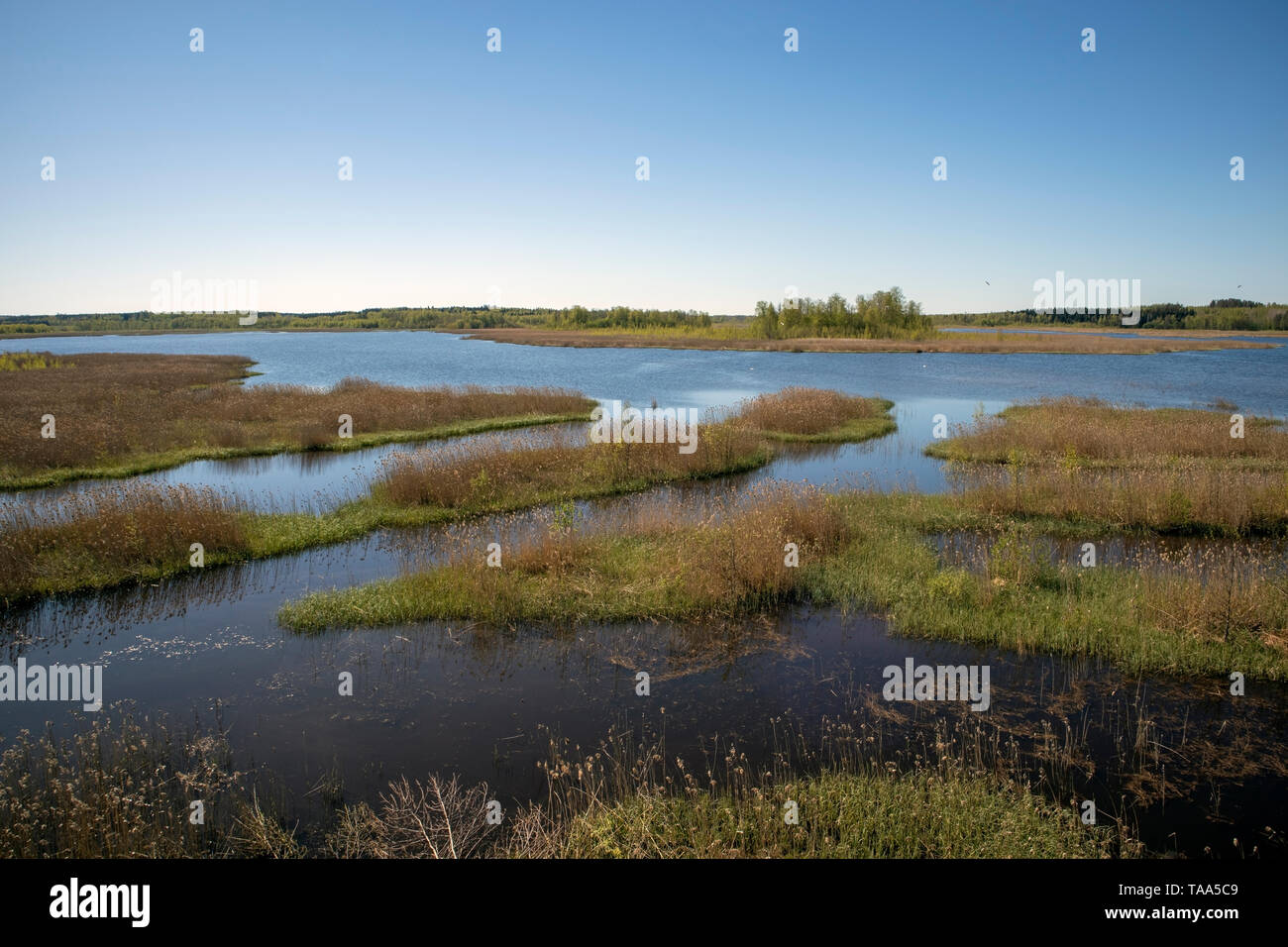 Wet marsh hi-res stock photography and images - Alamy