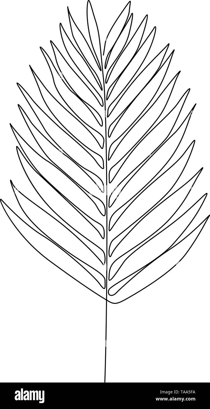 One line drawing bay leaf. Continuous line exotic plant Stock Vector ...