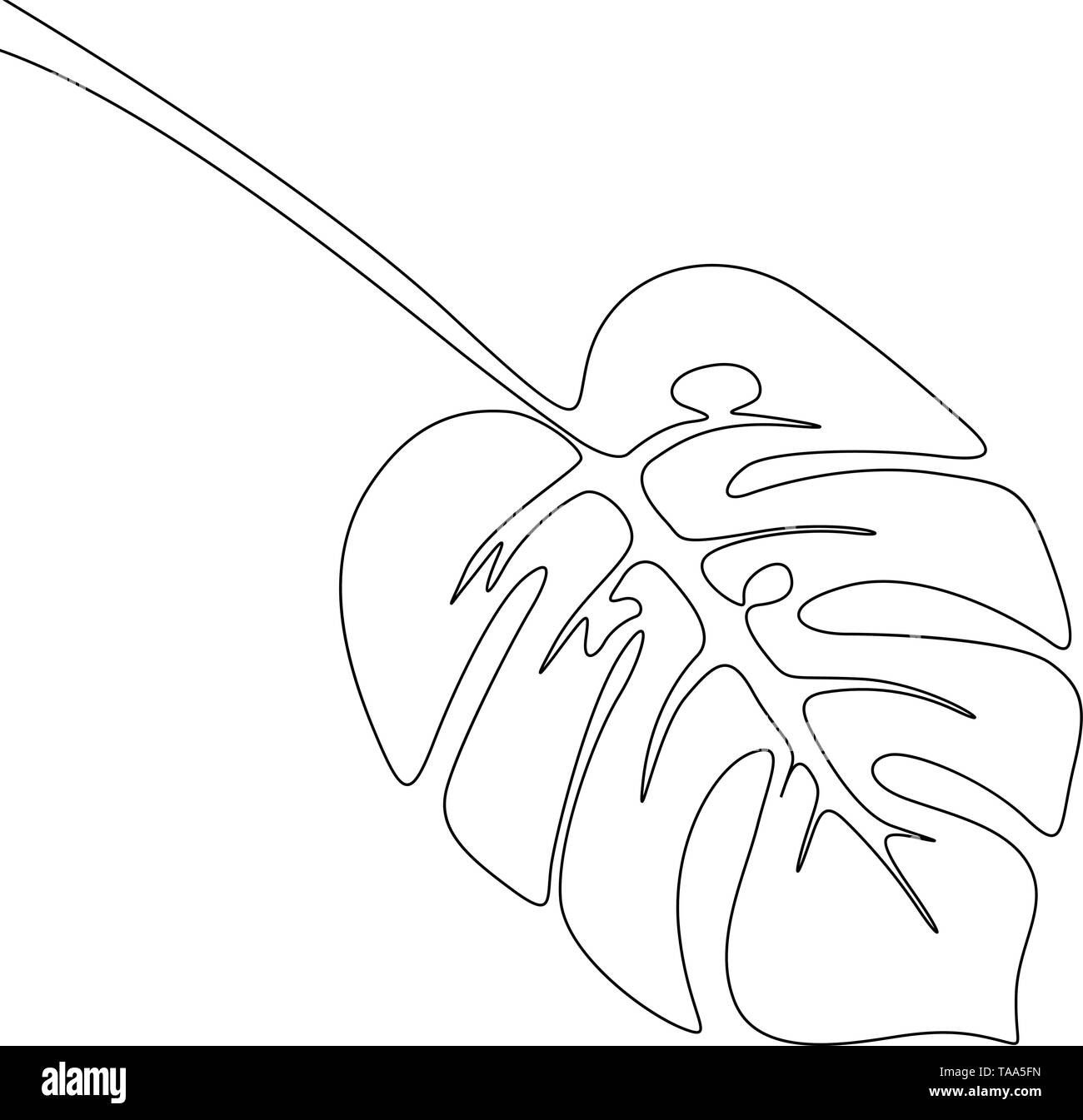 One line drawing monstera branch.Continuous line exotic tropical plant ...