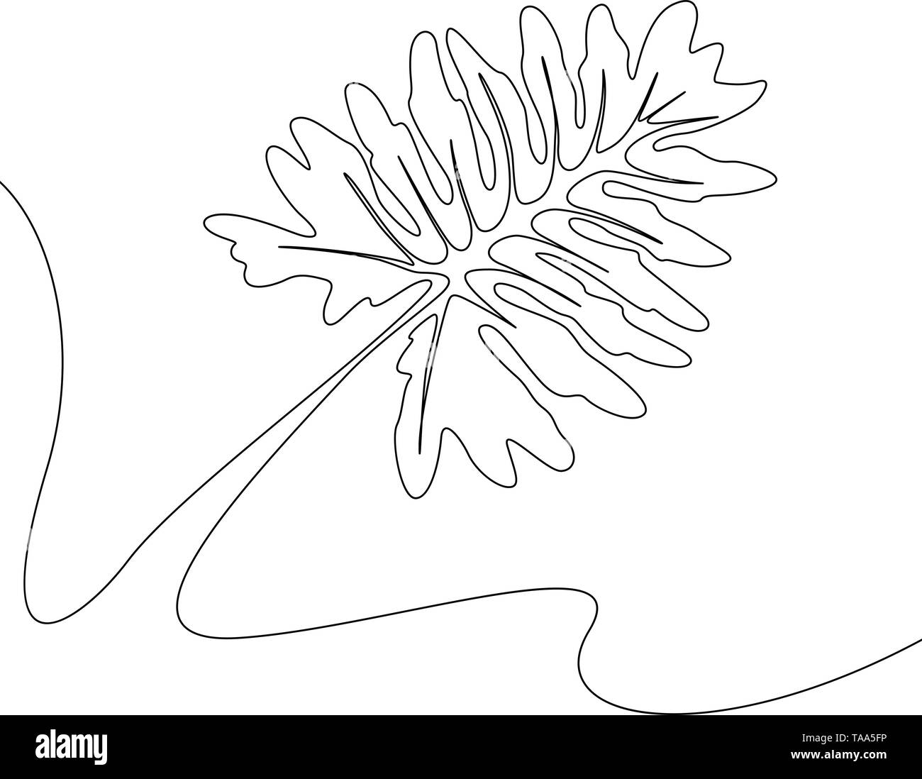 One Line Drawing Tropical Flora Continuous Line Exotic Plant Stock