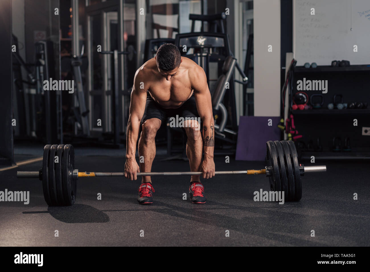 Young muscular man in the gym doing exercise Stock Photo - Alamy