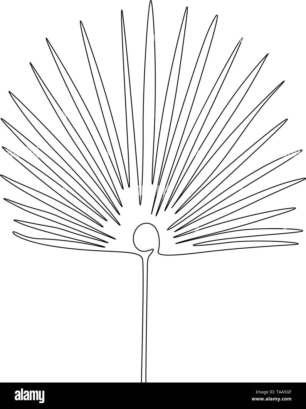 One line drawing fan palm. Continuous line exotic tropical plant Stock ...