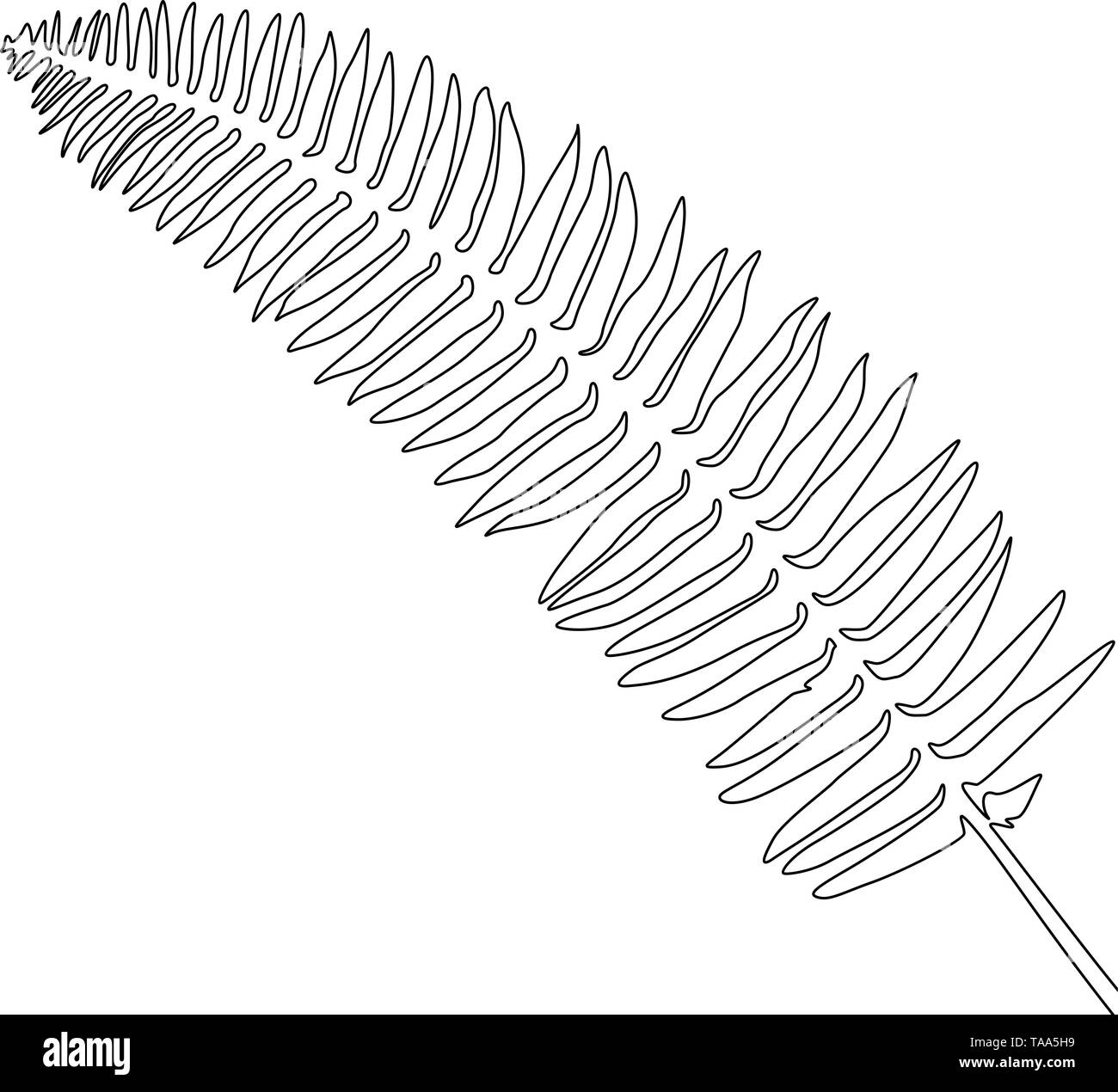 Exotic Black and White Stock Photos & Images - Alamy