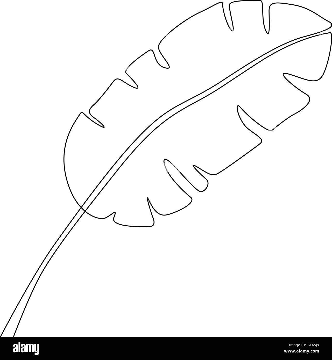 One Line Drawing Banana Branch Leaf Continuous Line Exotic Tropical