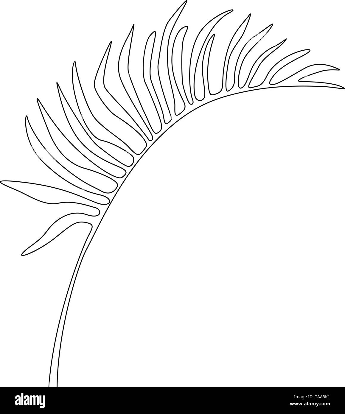 One line drawing areca leaf. Continuous line exotic tropical plant ...