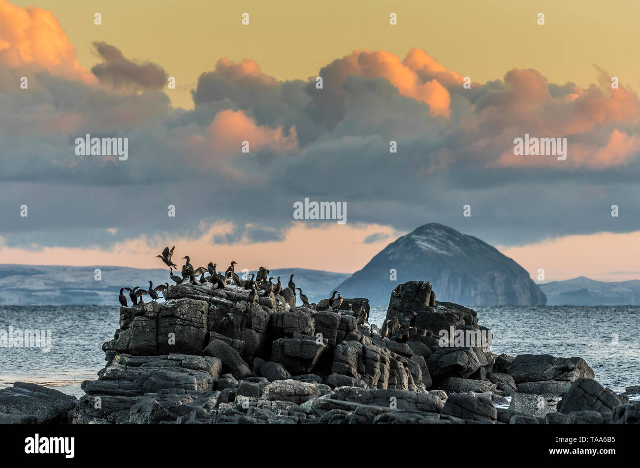 Craig shore hi-res stock photography and images - Alamy