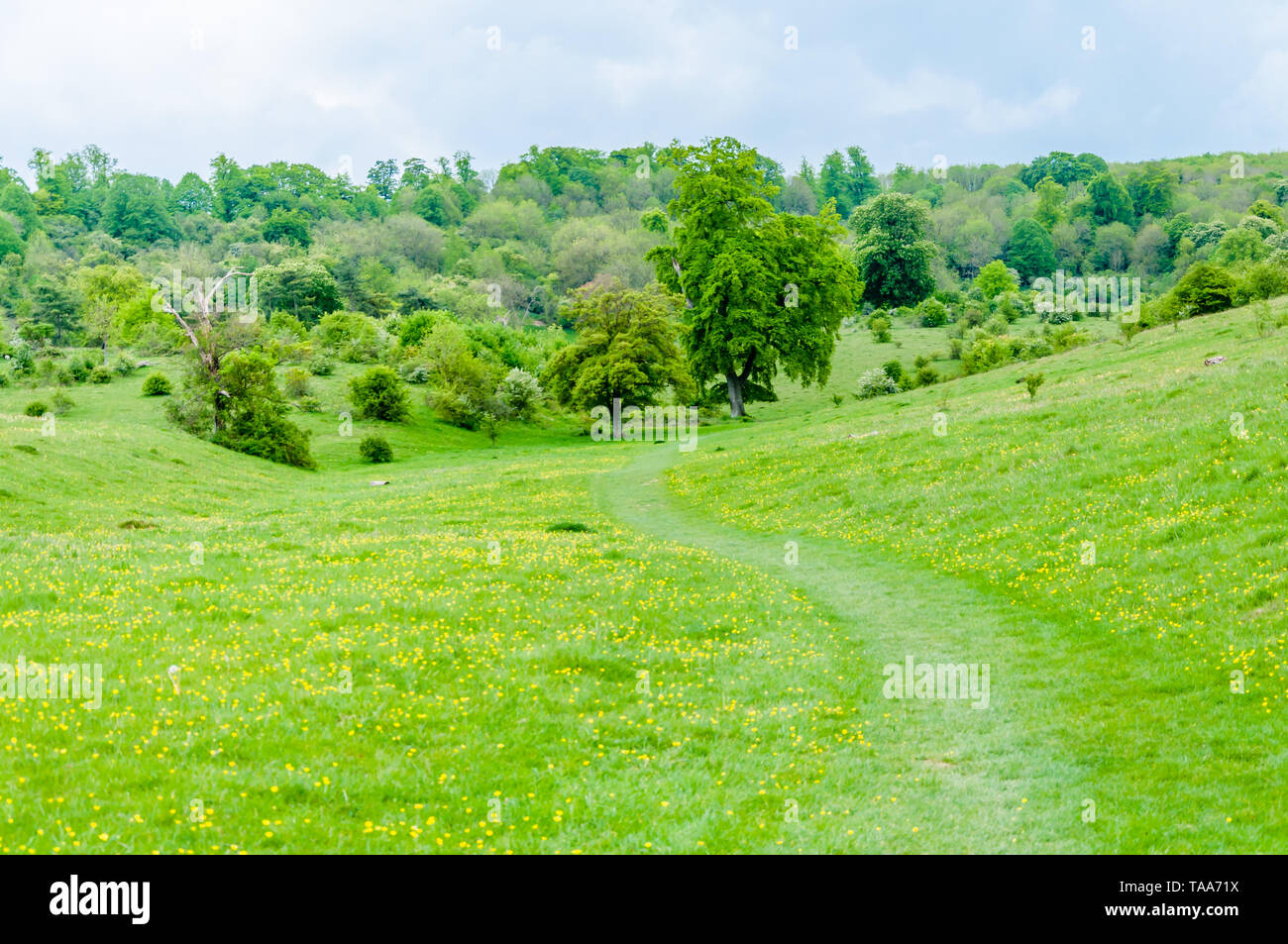 Tring park hi-res stock photography and images - Alamy