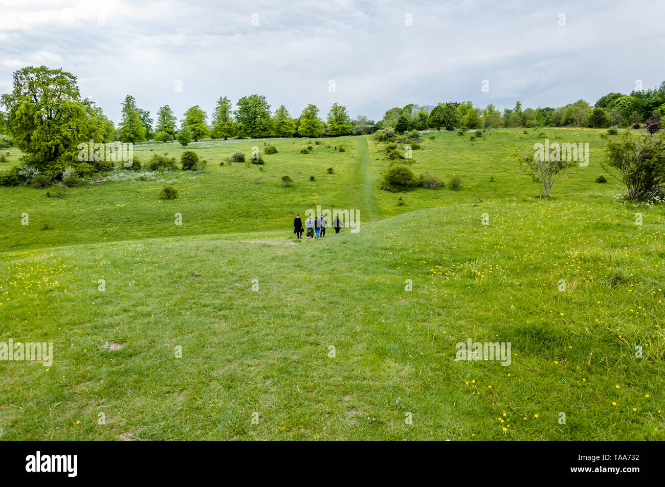 Tring park hi-res stock photography and images - Alamy