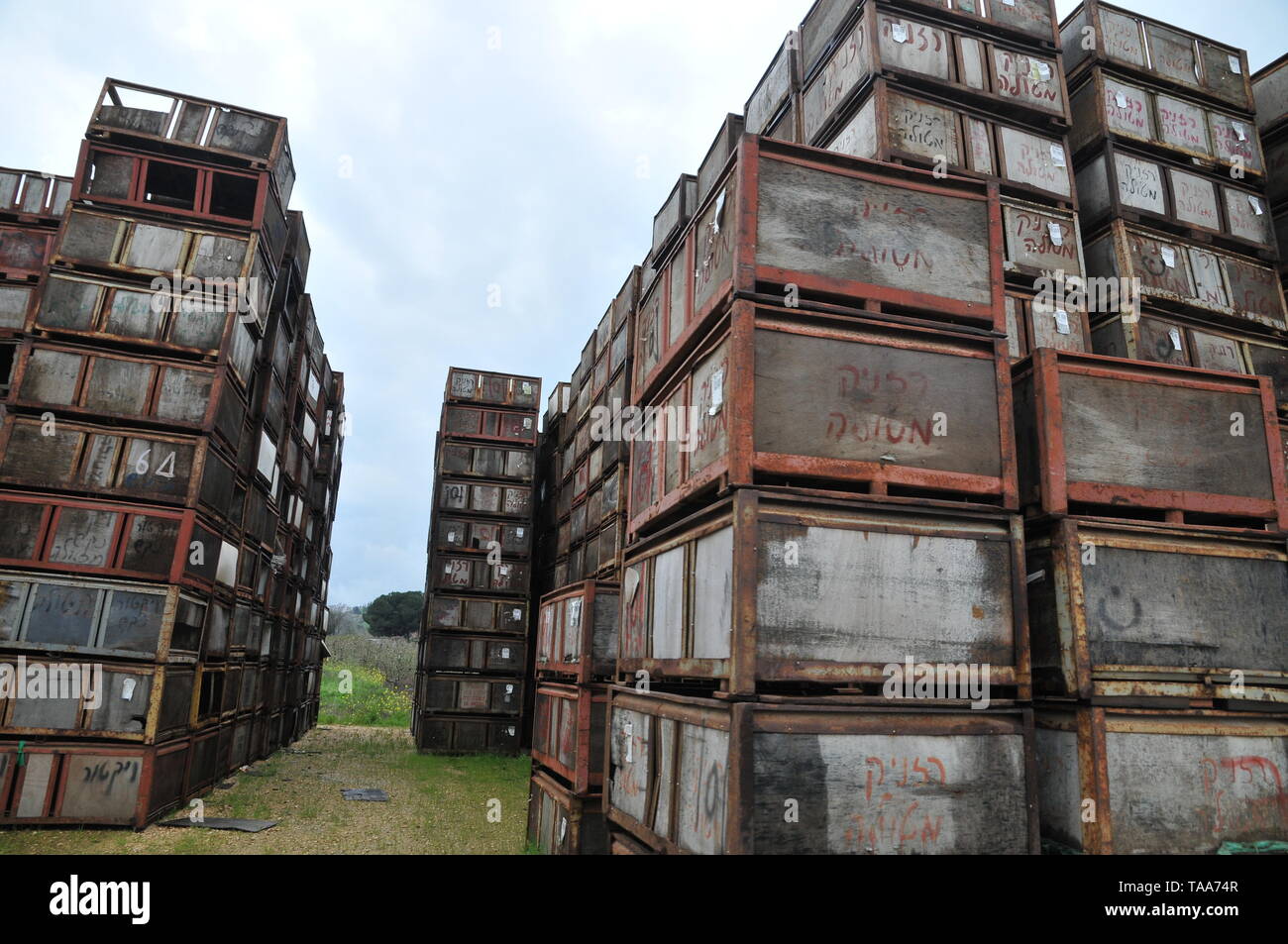 Stacked Agricultural packing crates in a packing plant in Metula ...