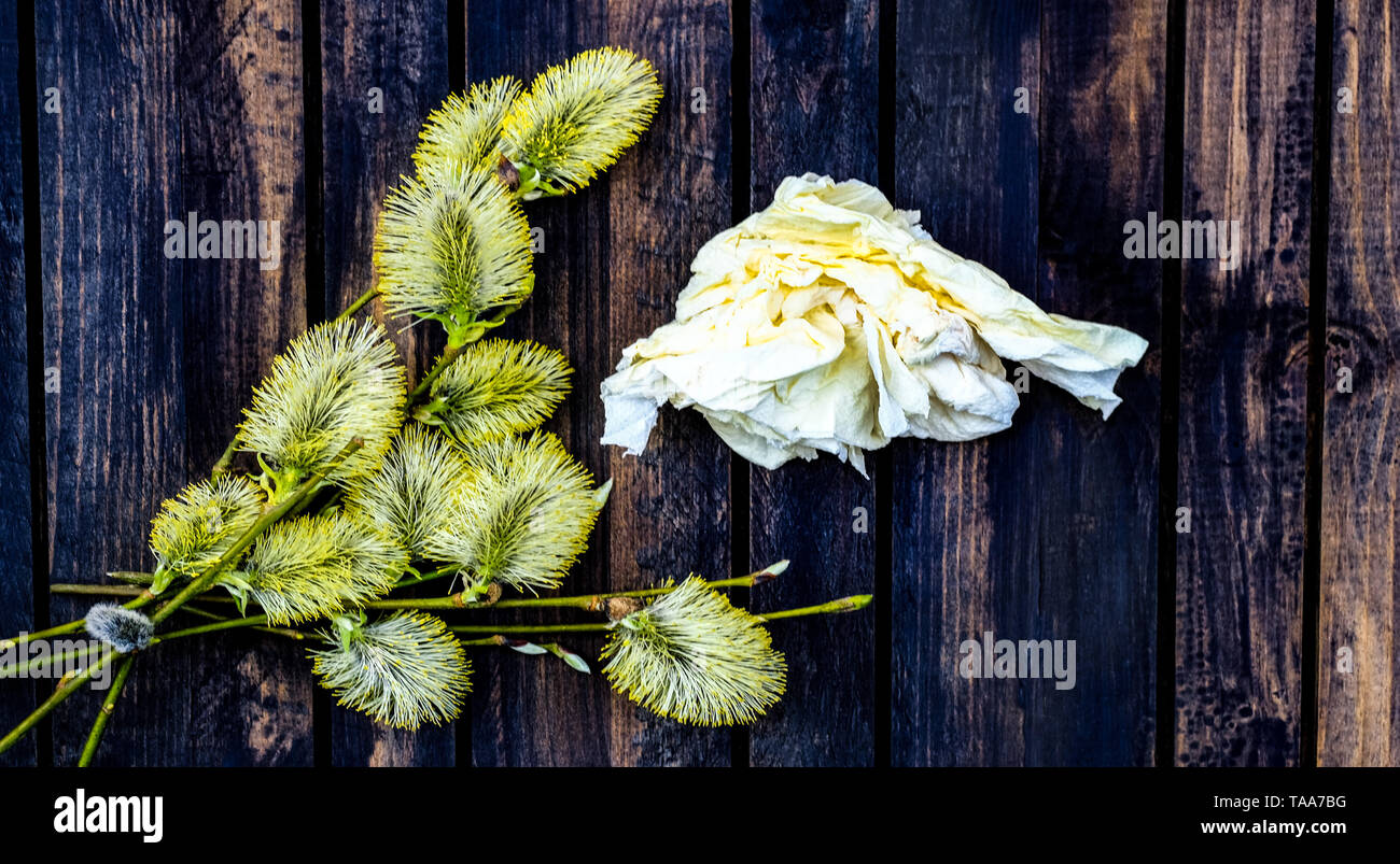 Nose spills hi-res stock photography and images - Alamy