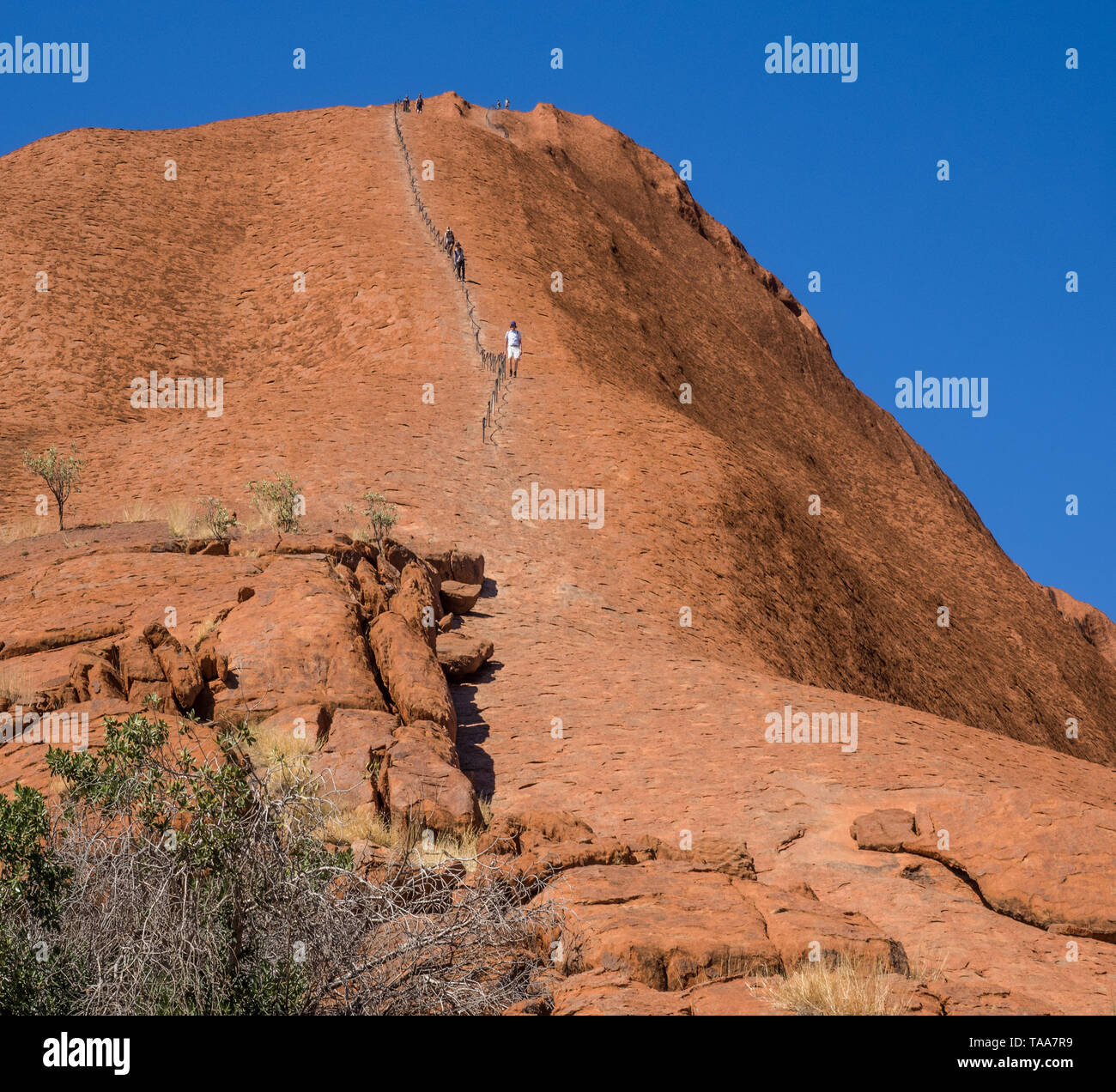 View of some people climbing Uluru/Ayers Rock in Australia's Red Centre ...