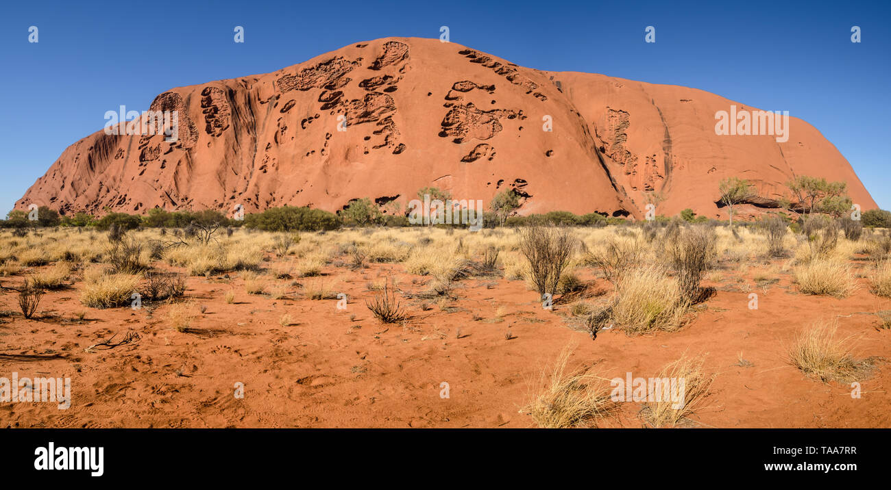 Panoramic perspective of Uluru (Ayers Rock) - mighty monolith rising ...
