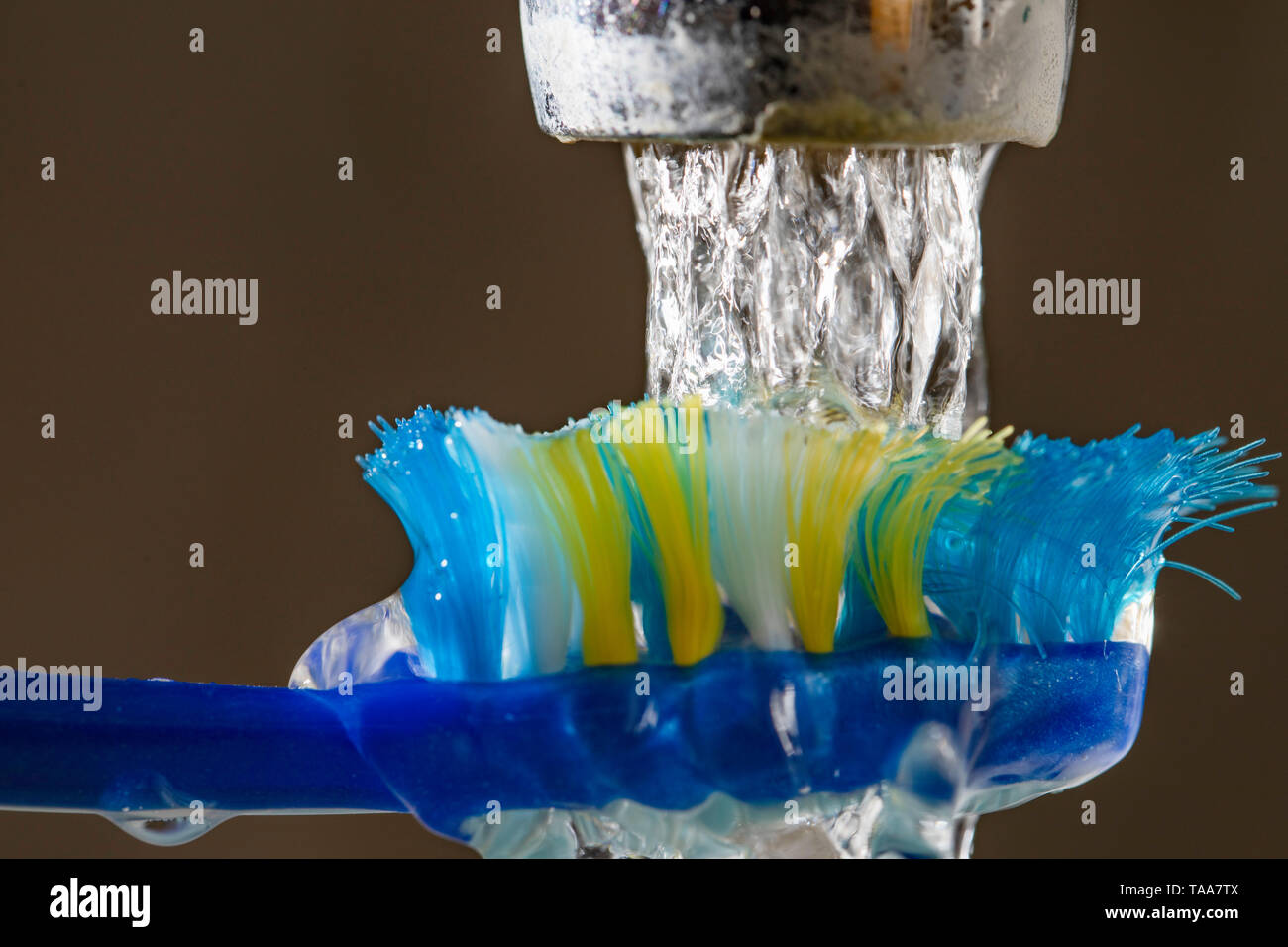 Running a toothbrush hi-res stock photography and images - Alamy