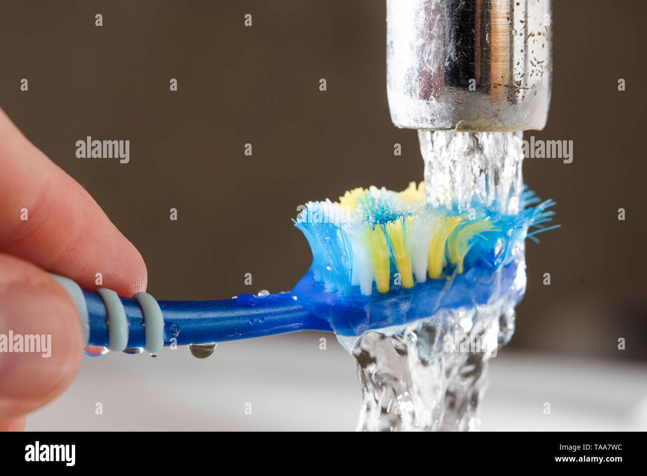 Washing a toothbrush in running tap water - wastage of water Stock ...