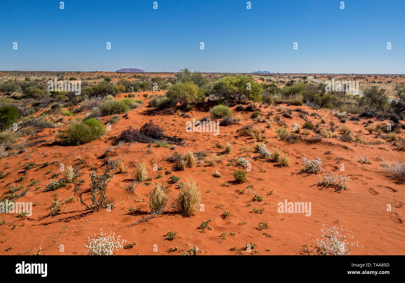 A view over the red desert landscape to wards Uluru in the distance ...