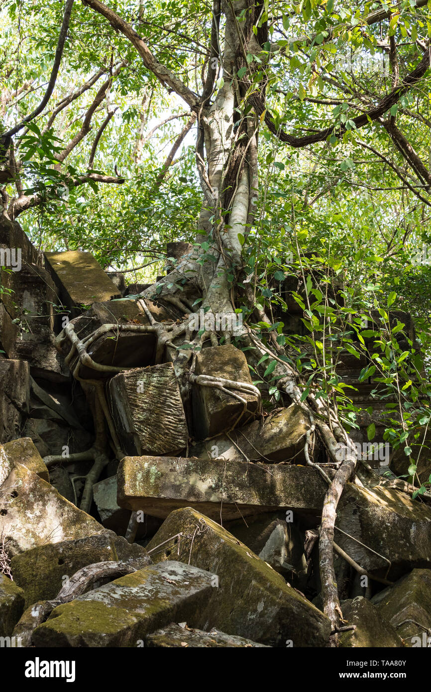 Ruins of ancient Beng Mealea Temple over jungle, Cambodia. Beng Mealea ...